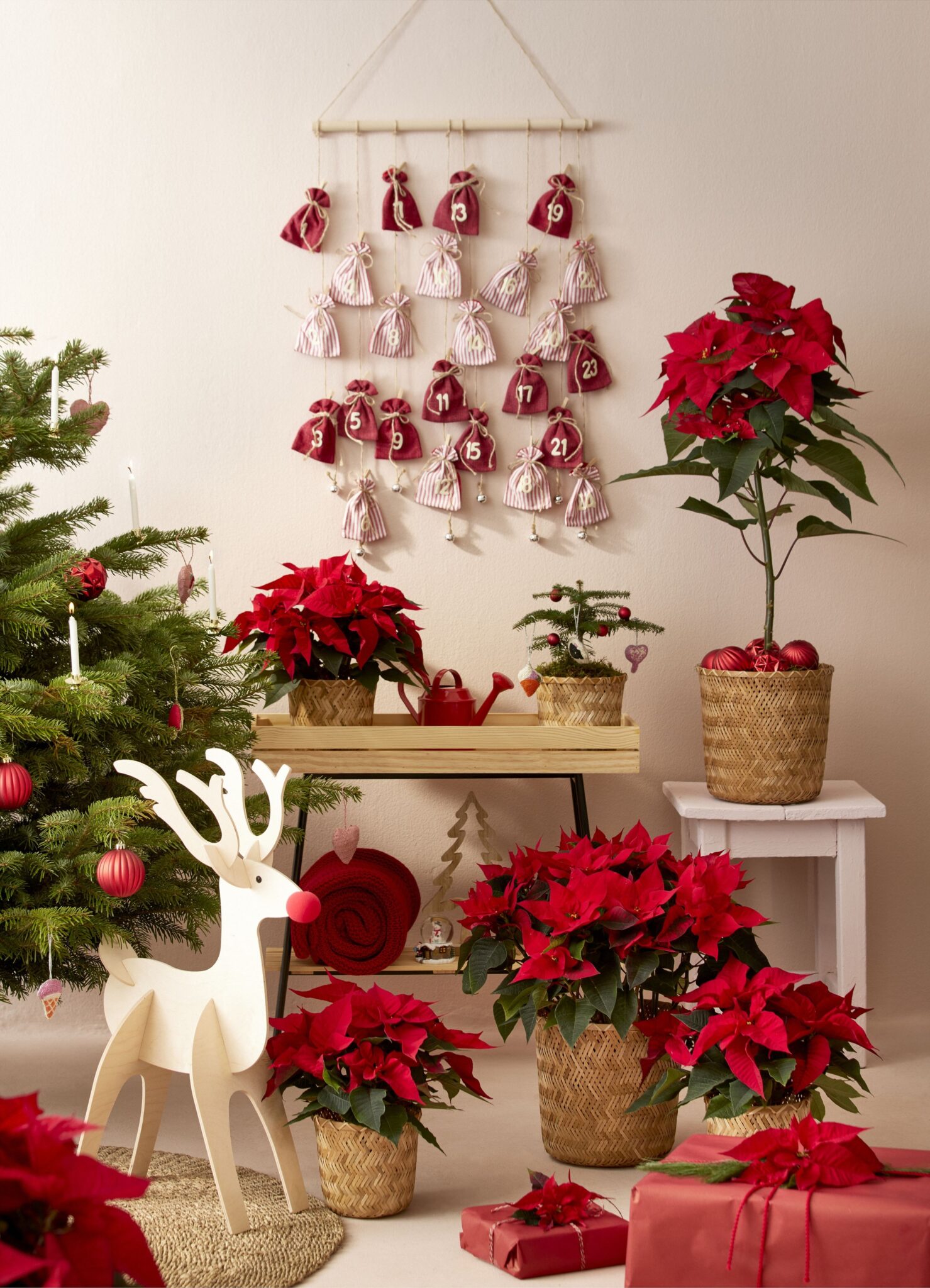 Calendario dell'Avvento Fai da Te bello ed economico: 10 esempi